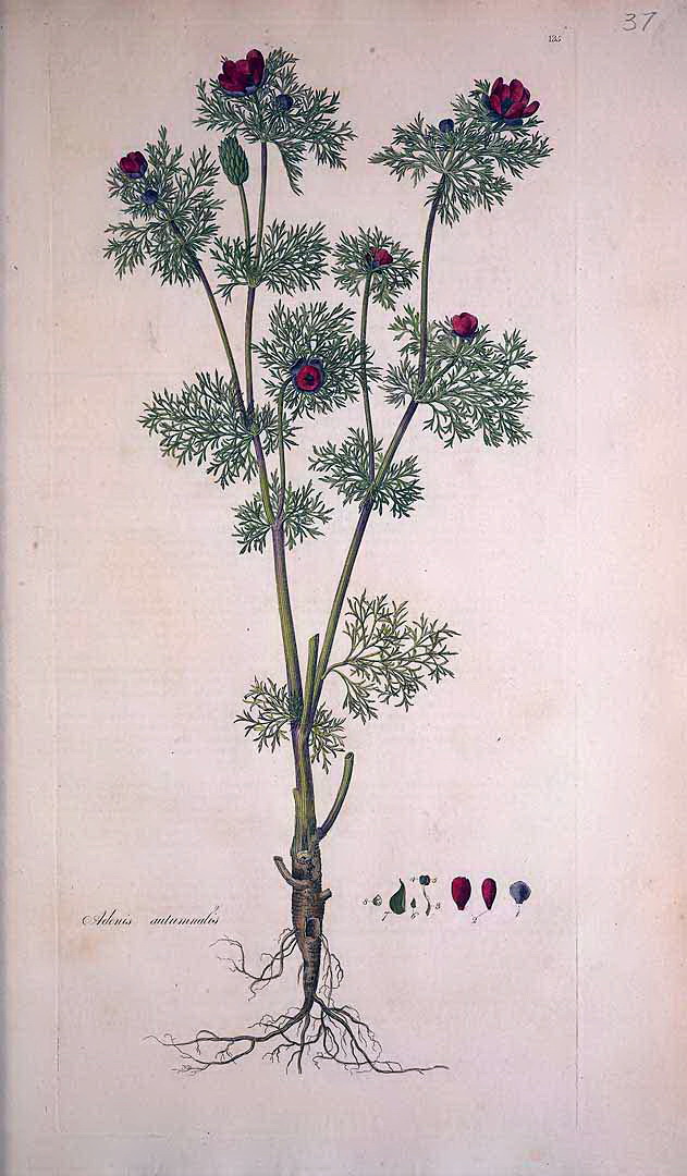 163815 | 家＋藝術